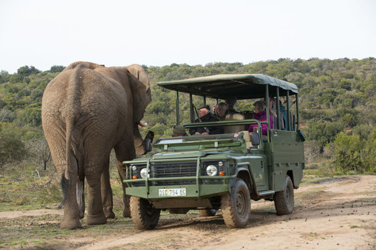 Pumba Water Lodge, Pumba Game Reserve - Safaris Down South