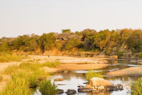 Discover Singita's 5 Luxury Lodges in South Africa